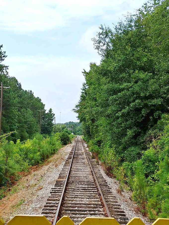 The South Carolina Railroad Museum Offers A One-Of-A-Kind Train Ride ...