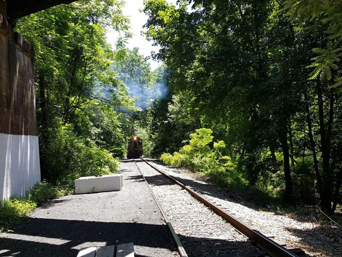 This Unforgettable New Jersey Train Ride Takes You Through The Most ...