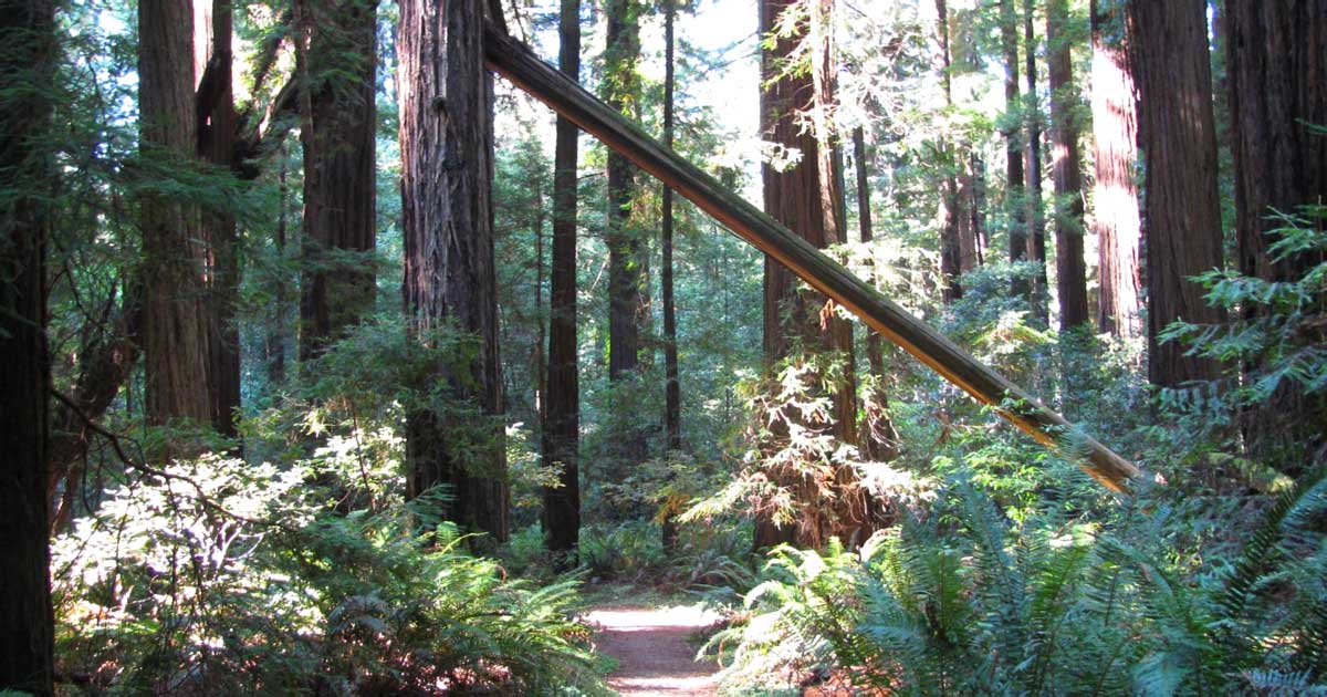 Five Parks Highlight Midwest and Southwest Heritage Through Nature and History