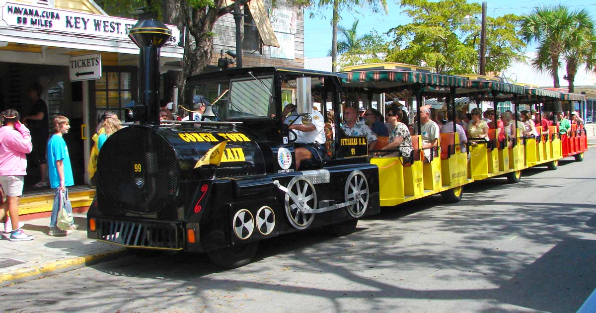 Florida Zoo Train Rides Hop On This Whimsical Florida Train Ride For The Most Relaxing Way To ...