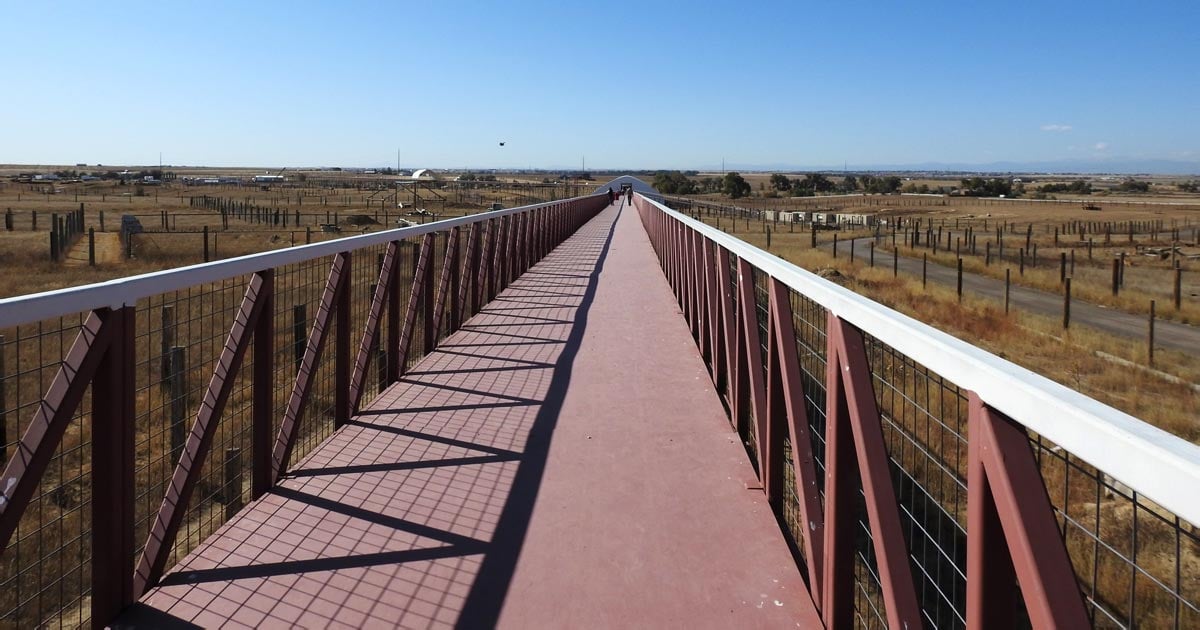 Walk Across The World's Longest Footbridge In Colorado As It Floats ...