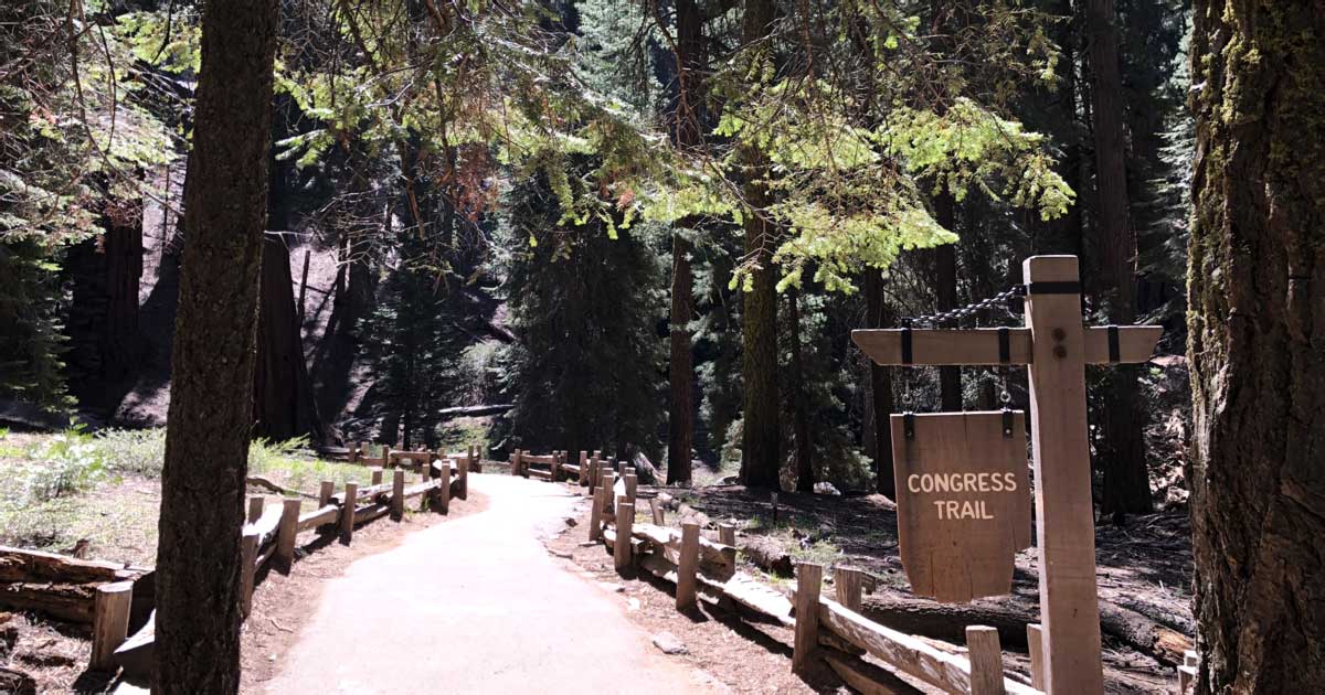 Magnification Call Out Take These 7 Easy Hikes In California For Some Of The Most Jaw-Dropping ...