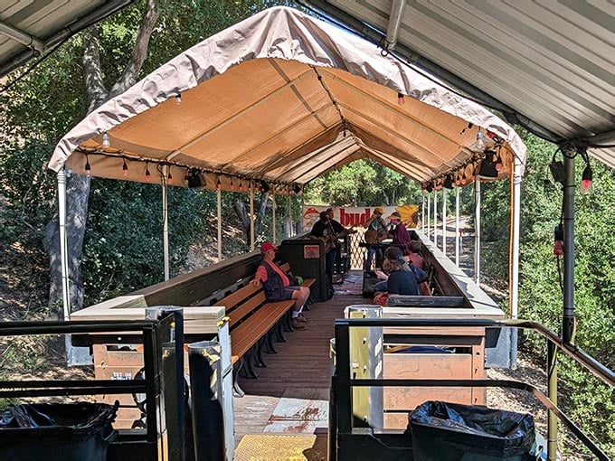 Train Ride Photography Hop Aboard This Open-Air California Train Ride For A Scenic Family ...