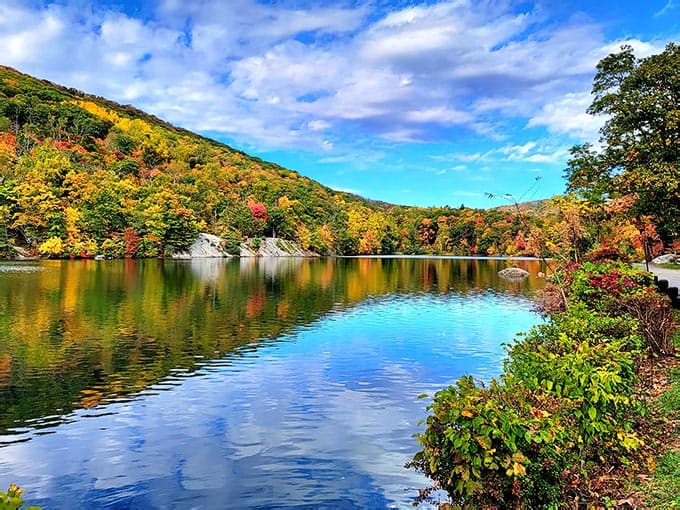 The Magical New York Park That Belongs On Every Bucket List Across The ...