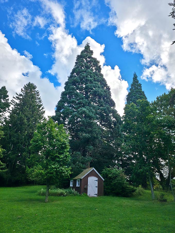 This Enchanting Michigan Bird Sanctuary Is the Perfect Dupe for Iconic ...