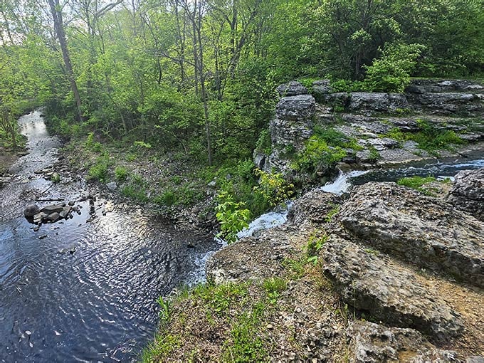 Tree Grail This Little-Known Spot In Indiana Is Quietly Becoming The Holy Grail Of ...