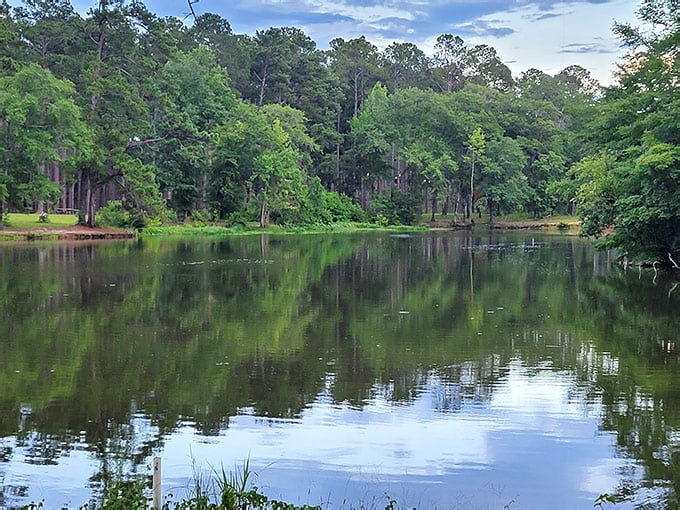 The Little-Known Alabama State Park With Breathtaking Views and Few Crowds