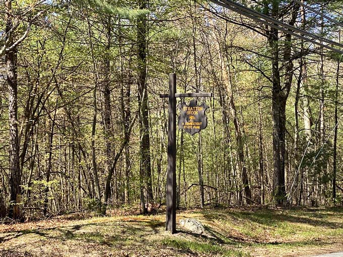 Separate Canopy Rods You'll Want To Grab Your Fishing Rod And Head To This Hidden ...