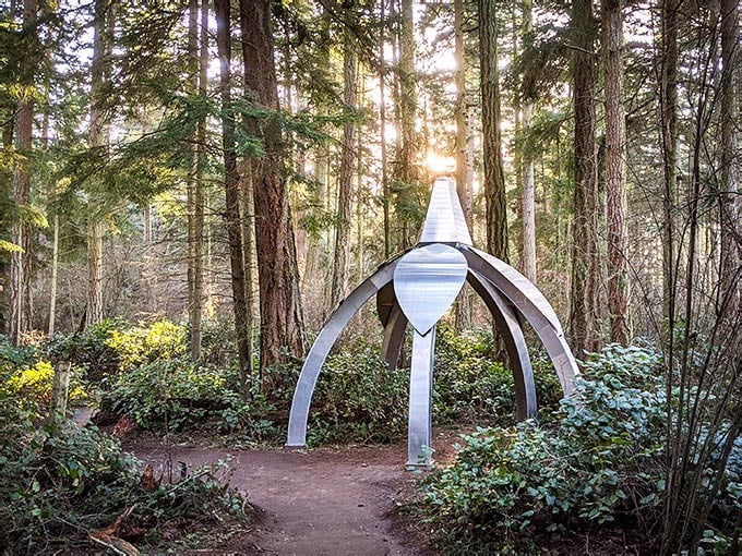 Forest Wa The One Washington Town That's So Peaceful, It Feels Like A Dream ...