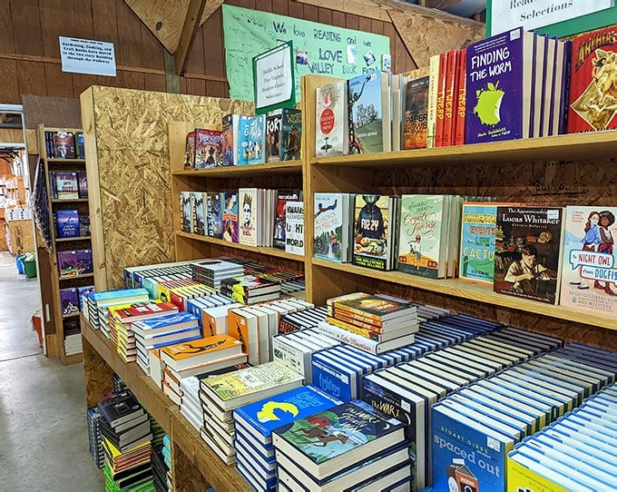 This Enormous Virginia Warehouse Hides Over 500,000 Books With ...