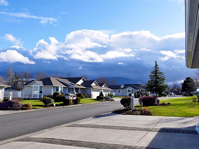 Sequim Weather This Idyllic Town In Washington Is So Sunny And Serene, Visitors Dream ...