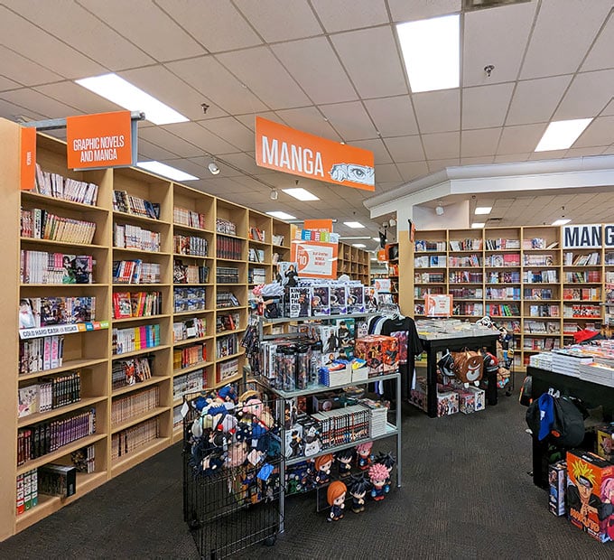 This Enormous Alabama Bookstore Is A Labyrinth Of Used Books, Movies ...