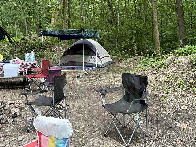 Tree Grail This Little-Known Spot In Indiana Is Quietly Becoming The Holy Grail Of ...