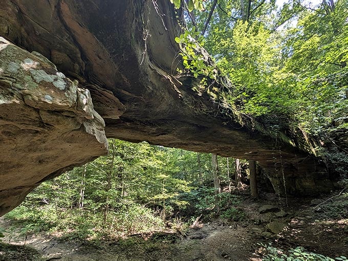 These 7 Illinois Natural Wonders Will Make You Feel Like You Stepped ...