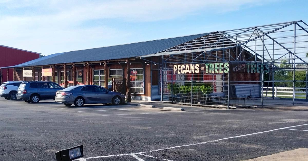 This Squirrel-Themed Store In Texas Serves The Best Pecan Pie You'll Ever Taste