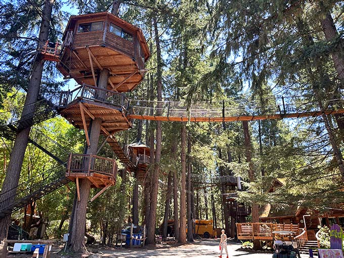 This Dreamy Oregon Treehouse Resort Lets You Sleep 47 Feet Above The ...