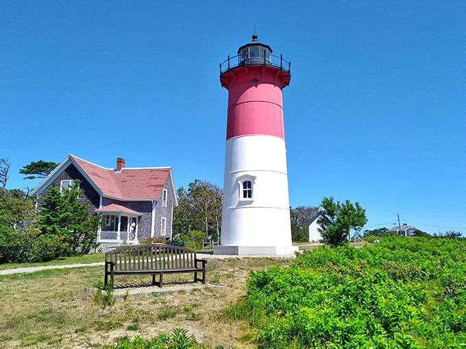 Wild Atlanic Cod This Historic Massachusetts Lighthouse Boasts The Most Breathtaking ...