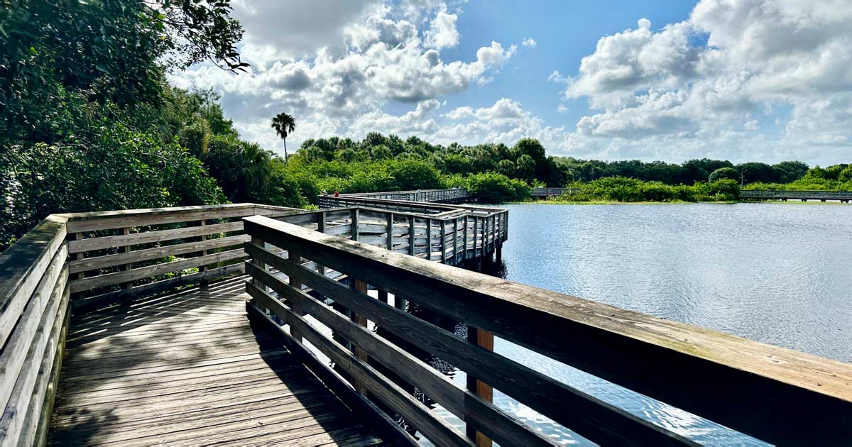 This Free 1.5-Mile Florida Boardwalk Floats Over A Wetland So Full Of Rare Wildlife